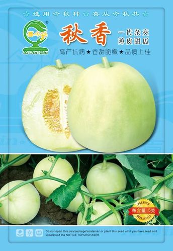 甜瓜35.0版本安装下载图标