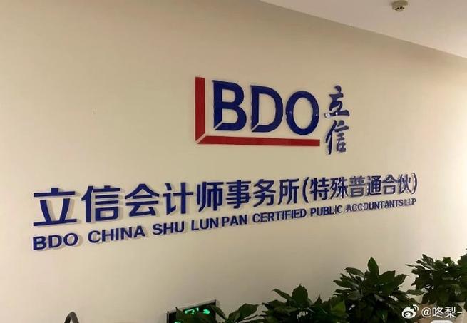 立信公司是做什么的图标