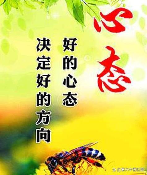 保持好心态的方法截图