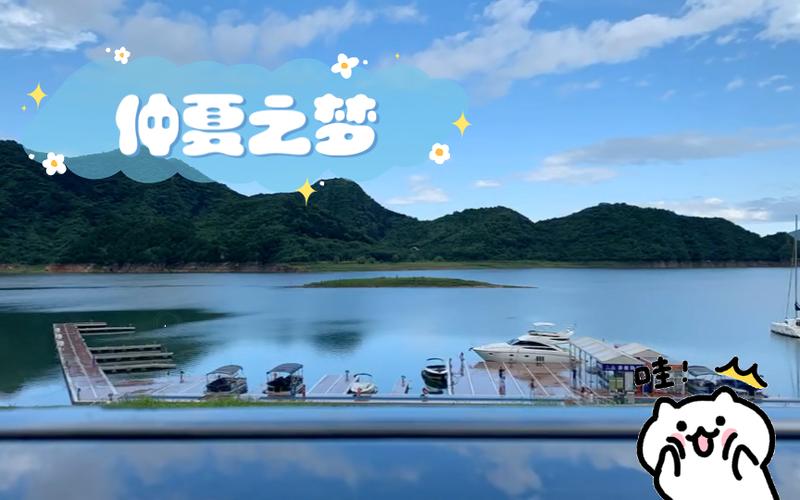 仲夏的象征意义图标
