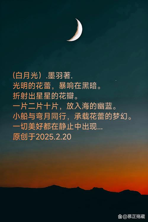 白月光和蓝月光哪个好图标