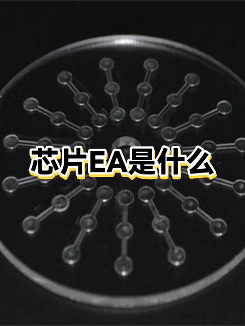 ea是做什么的图标