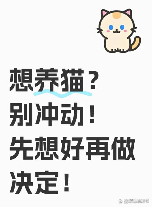 想养猫