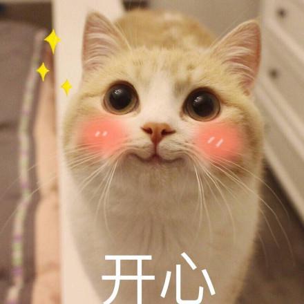 十堰市开心喵图标