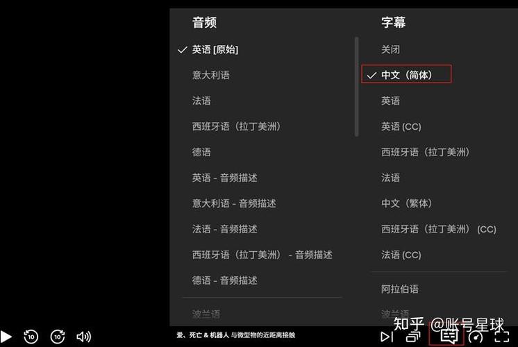netflix官网有中文字幕吗图标