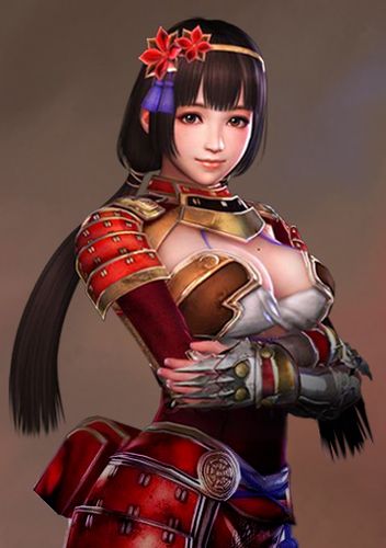 战国无双3猛将传金手指代码截图