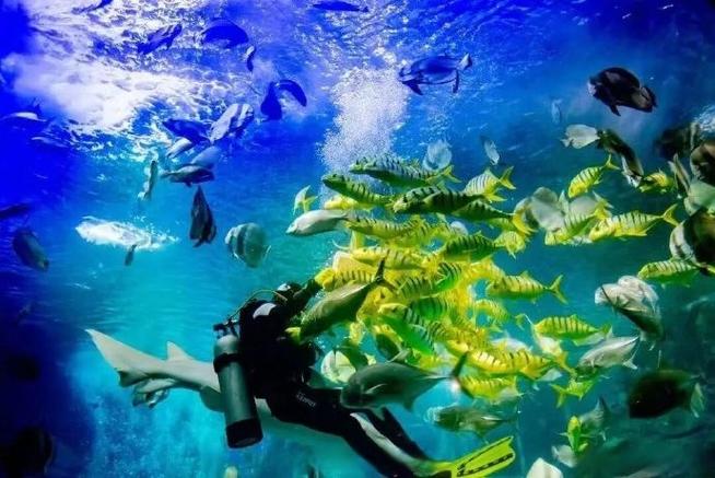 水族馆运行费用截图