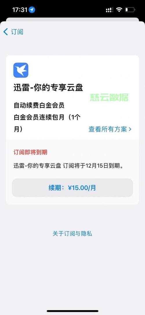 迅雷开了vip还是慢怎么办图标