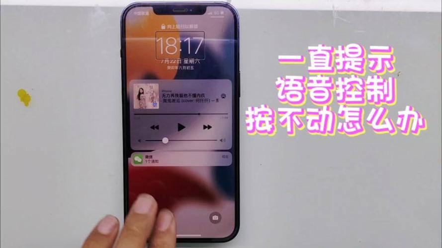 苹果发完语音出现音量图标