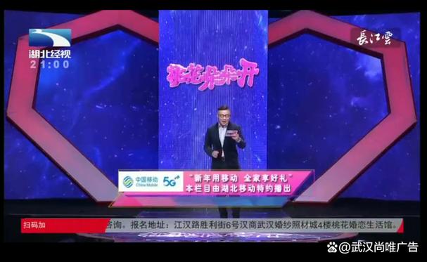 湖北经视直播官网入口图标
