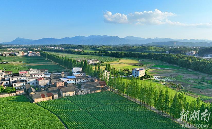 一个漂亮的村庄图标