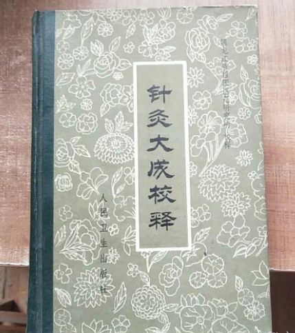 针灸大成校释图标