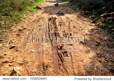 tire tracks翻译图标