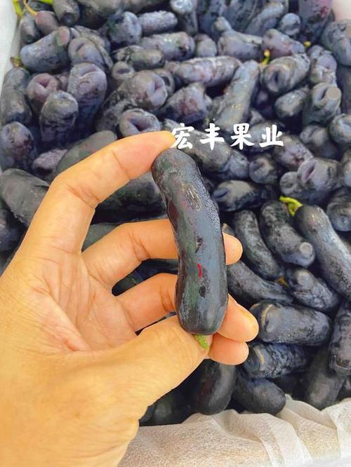 金手指价格多少钱