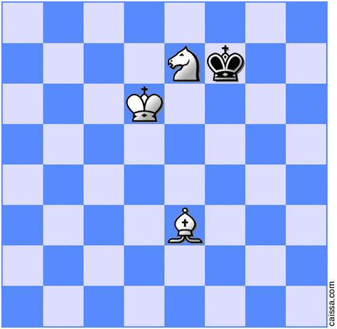国际象棋马象杀王视频图标