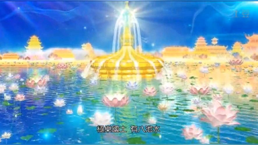 回归极乐世界视频完整版图标