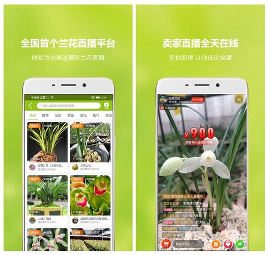 兰花网app赚钱