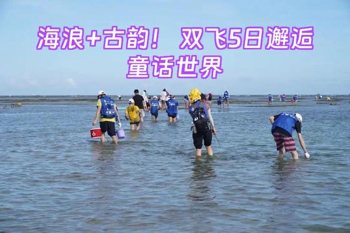 海浪子全文免费阅读图标