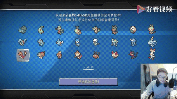 我的世界极巨化宝可梦