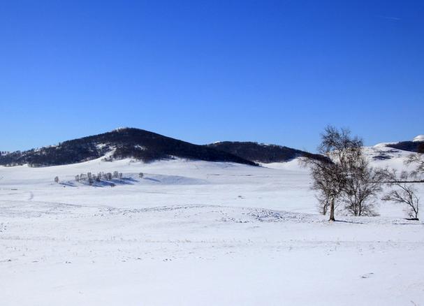冰雪之行图标