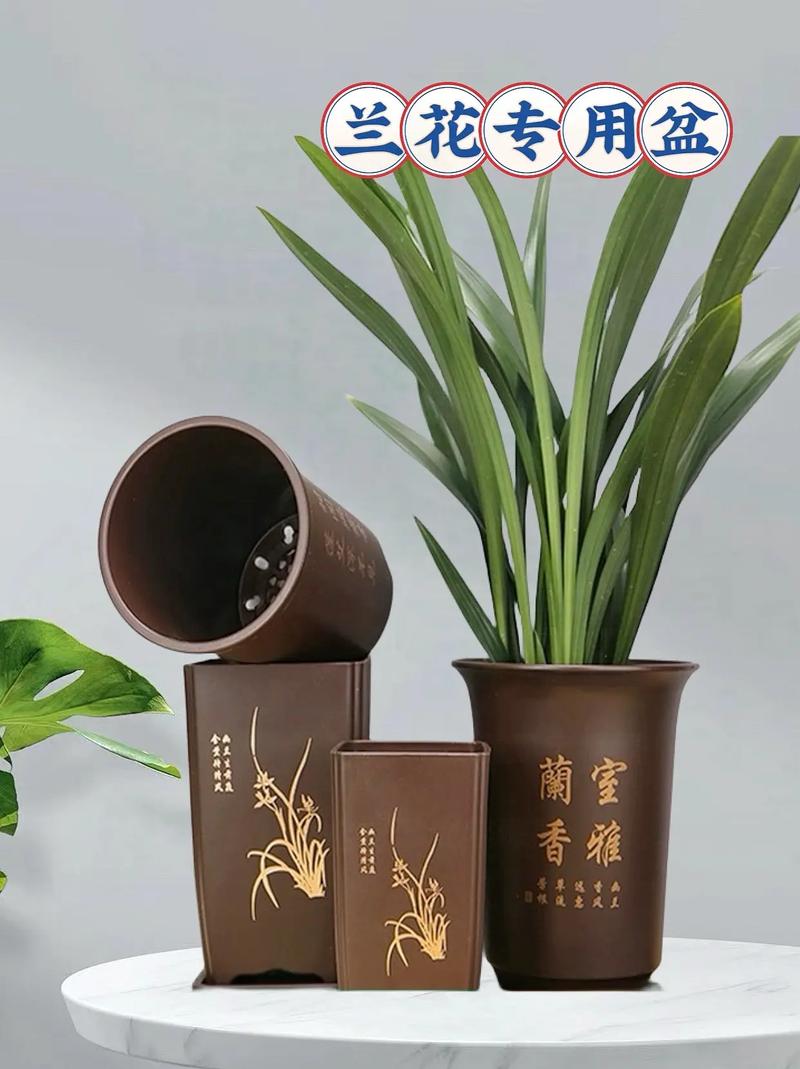 兰花盆图标