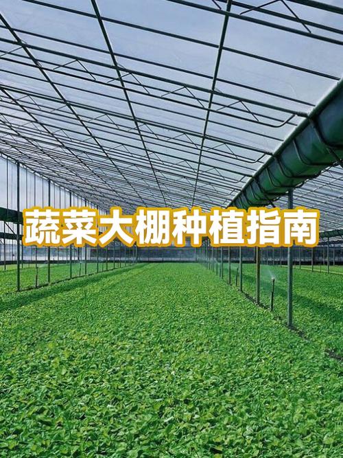 1988从蔬菜大棚开始无错版图标