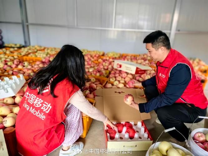 i志愿苹果app图标