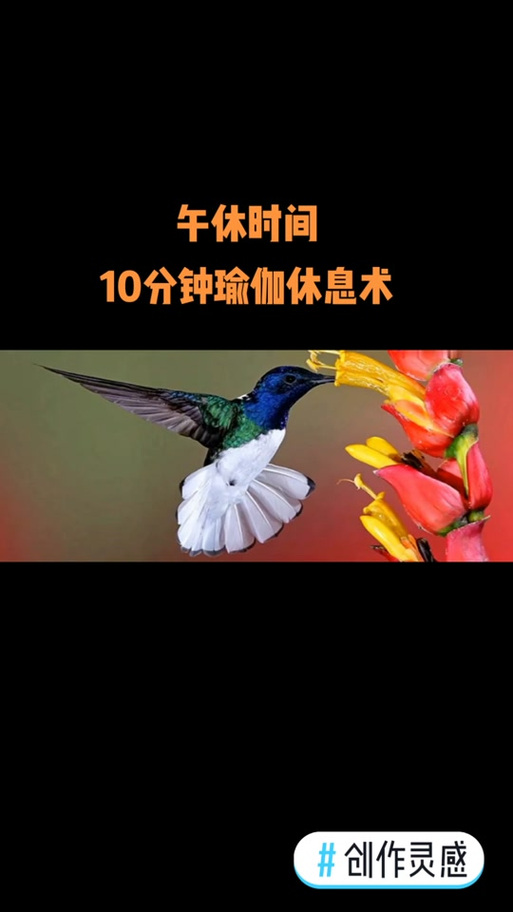 瑜伽休息术引导词图标