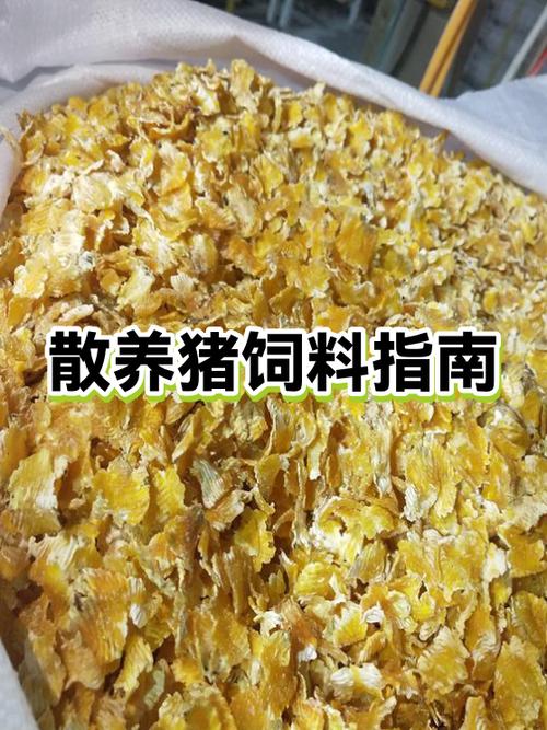 猪吃什么食物为主图标