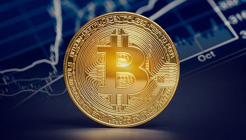 比特币本聪是谁图标