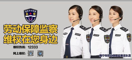12333是劳动监察大队吗图标