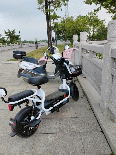 雅迪小飞象图标