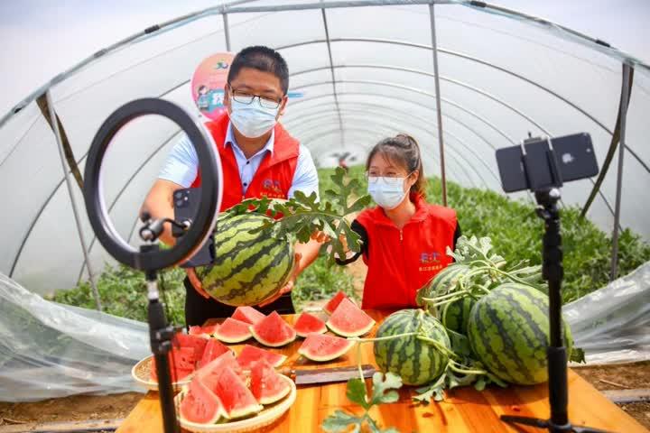 西瓜直播刷礼物图标