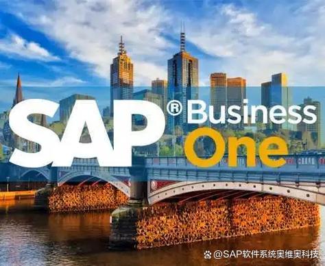 SAP Business One截图