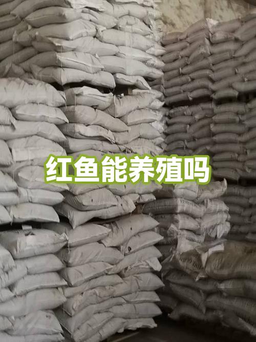 红鱼能养殖吗?图标