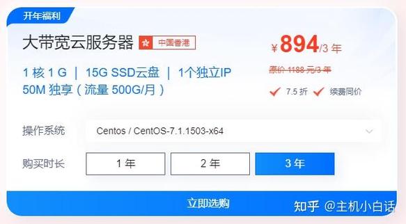 国内大带宽vps图标
