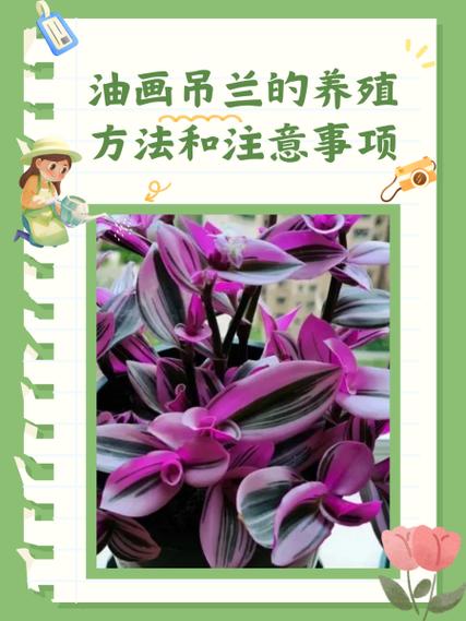 油画吊兰不上色怎么办