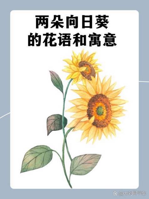 向日葵什么花语图标