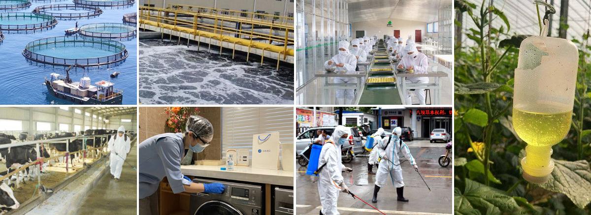 深圳恩科生物科技有限公司图标