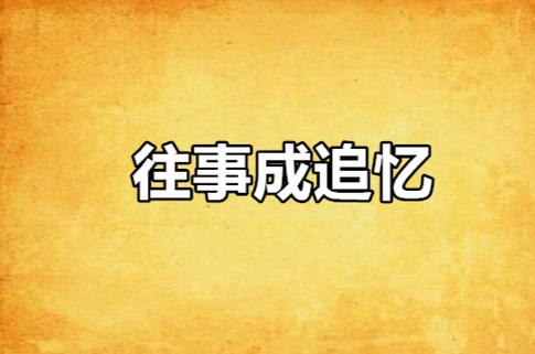 那一段往事的追忆TXT图标