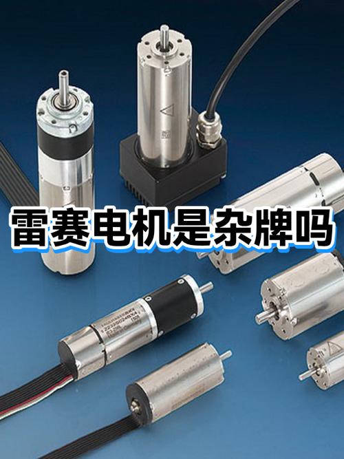 雷赛电机官方网站入口图标