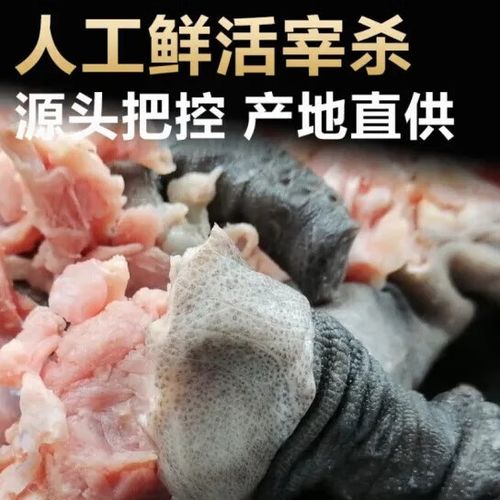 乌龟去肉留壳的方法图标
