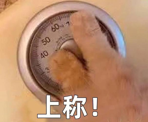 体重秤emoji截图