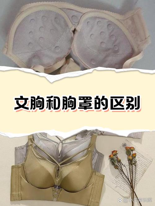 男士送女士胸罩代表什么截图