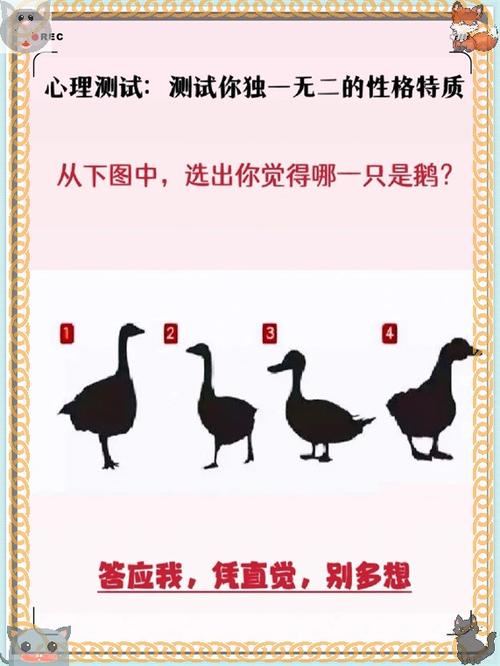 人格测试官方测试题免费入口缩略图