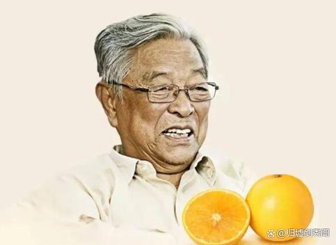 励志橙褚时健截图