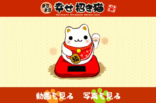 养猫招财图标