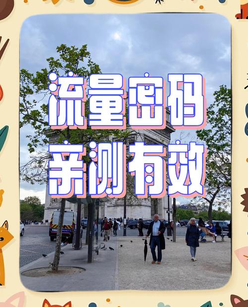 流量精灵破解版截图