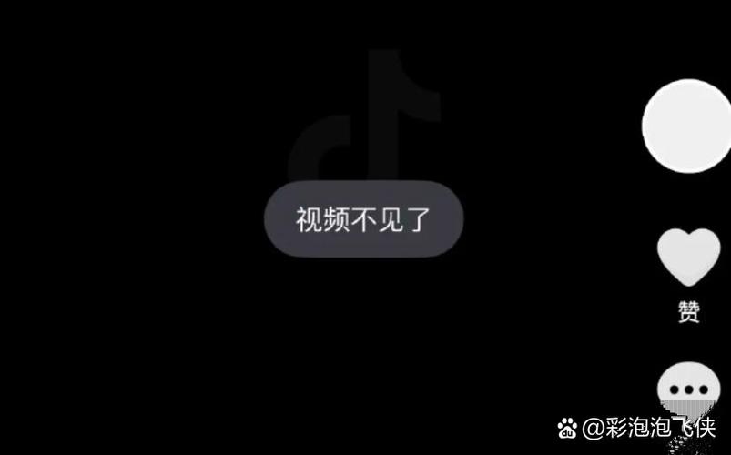视频不见了图标