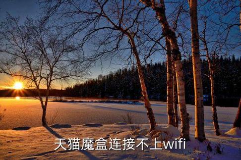 天猫魔盒连上wifi但无法上网图标